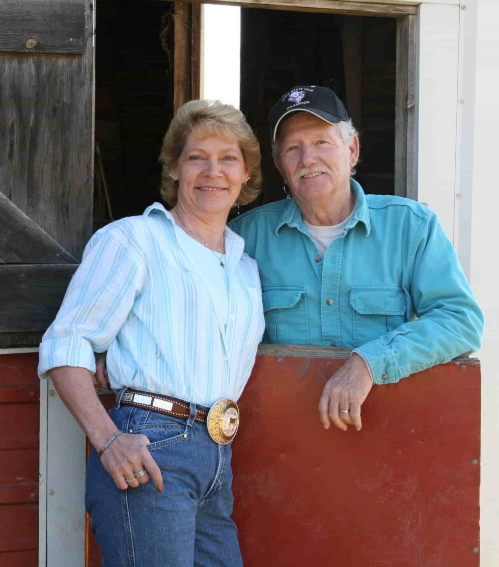 Miniature Hereford Cattle For Sale at KP Ranch